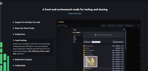 Codepen