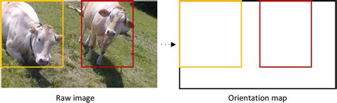 Spatial Guided Image Captioning Guiding Attention With Objects