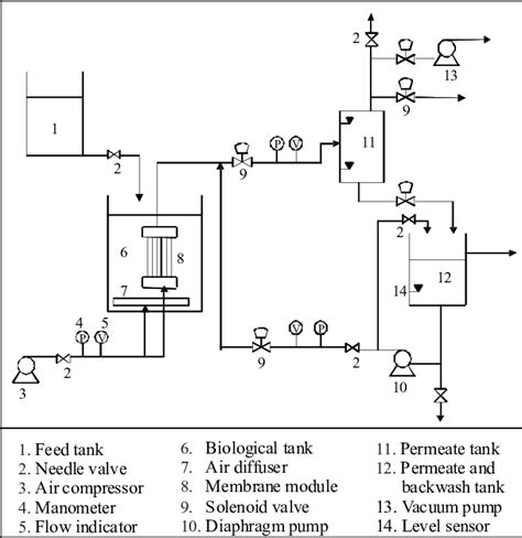 Scheme Of The Mbr Used Download Scientific Diagram