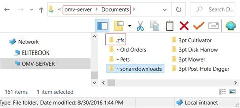 Miscdocsautozfssnapshots Omv