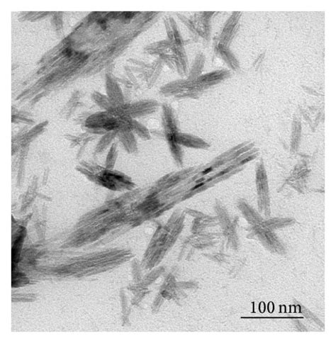 A B And C Bright Field TEM Images Of Fe2O3 Structures D Download Scientific Diagram