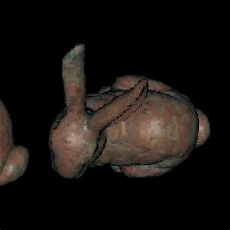 Three Orthogonal Views Of One Example Model Download Scientific Diagram
