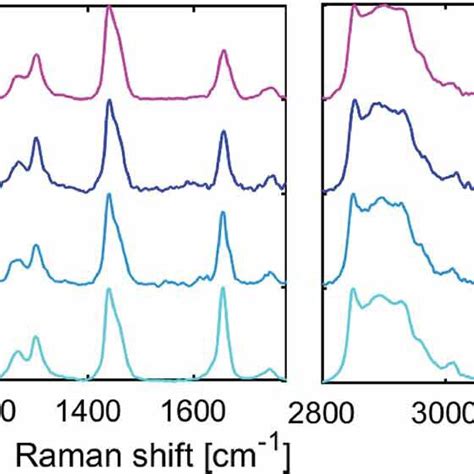 Normalised Mean Raman Spectra Of Cm N 98 Vldl N 118 Plasma Download Scientific