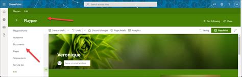 New Experience When Editing Modern SharePoint Pages Views From Veronique