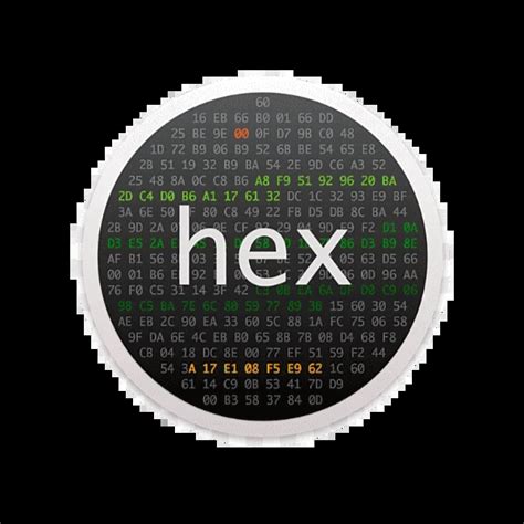 Hex Workshop — Descarga Gratuita Editor Hexadecimal Avanzado