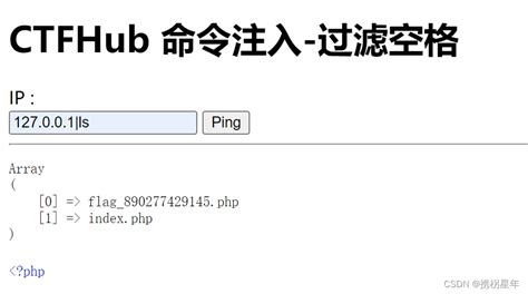 Ctfhub Rce 过滤空格ctf 空格被过滤 Csdn博客