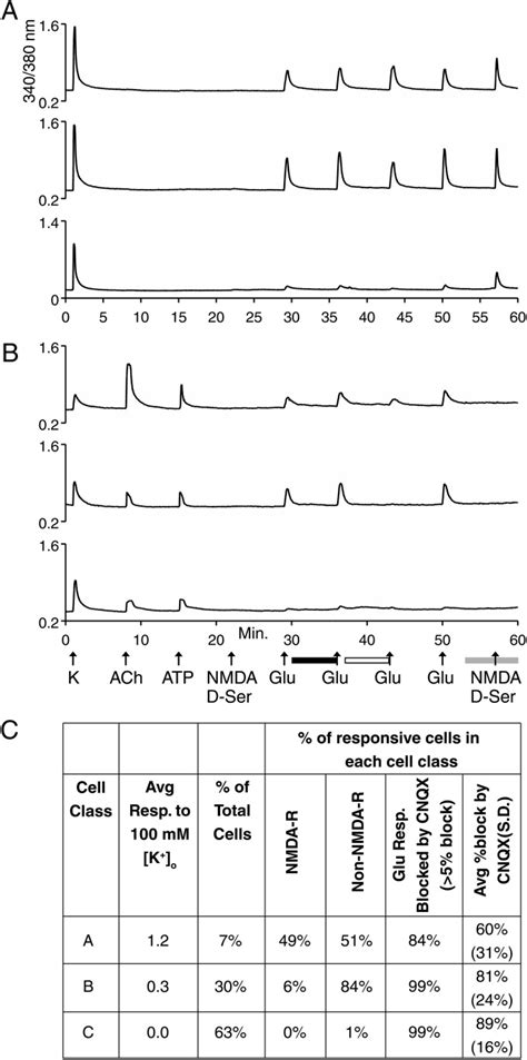 Defining Modulatory Inputs Into Cns Neuronal Subclasses By Functional