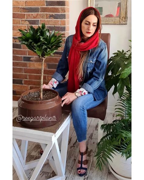 بیوگرافی شقایق دهقان عکس