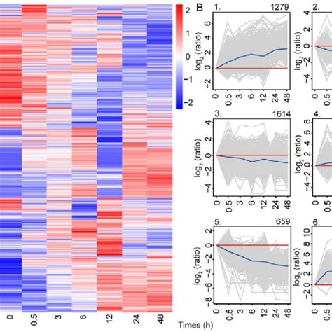 Clustering Analysis Of The Differentially Expressed Genes Degs A