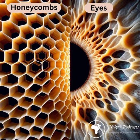 Muhammad Babar Posted On Linkedin Muhammad Babar Posted On Linkedin