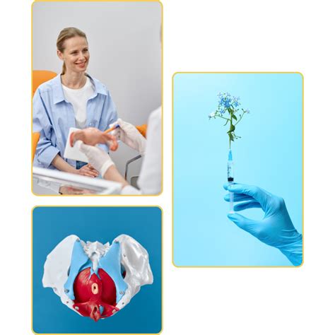 Pelvic Floor Botox Rena Malik M D