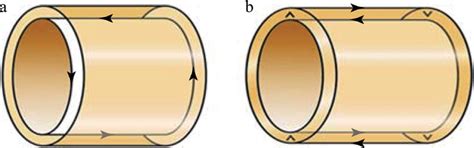 sketch map of volume coils a birdcage coil and b tem coil