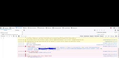 bad request when accessing the dicom server through the deployed ohif
