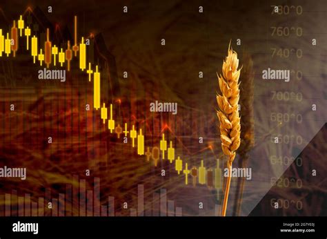 Price Level Decrease Of Agricultural Grains Shown By Chart Graph And