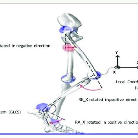 Pdf Pathological Gait Abnormality Detection And Segmentation By Processing The Hip Joints