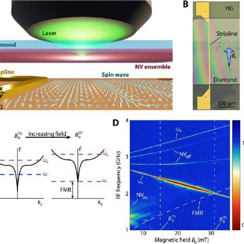 Spin Wave Dispersion In The Space And Time Domains A Nv Rabi