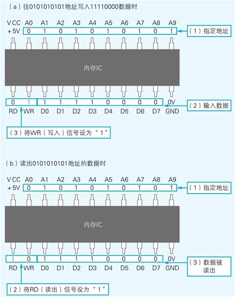 C 数据类型在内存中的存储原理 上位机编程 工控课堂 Powered By Discuz