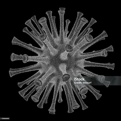 Scanning Electron Microscope Virus