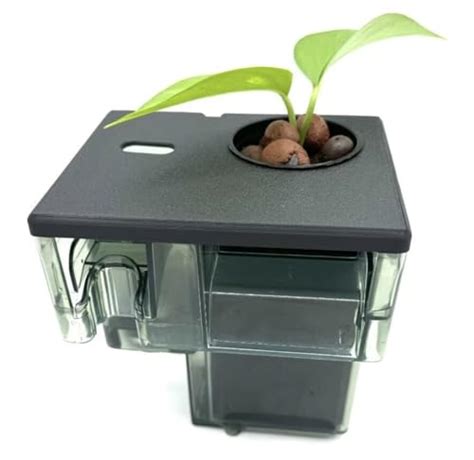 Green Tree Python Enclosure Requirements Heating Lighting And Care Scale Companions