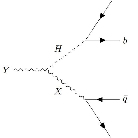 Feynman Diagram Of The Target Signal Process Where The Y Is Produced Download Scientific