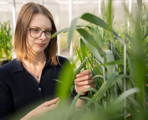 What Is Cybernetics A Crash Course In Cybernetics And Why It Matters