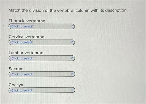 solved match the division of the vertebral column with its