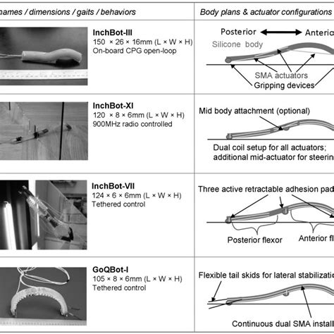 Schematic Gait Maps Of Caterpillar Like Soft Robots Six Modes Of Download Scientific Diagram