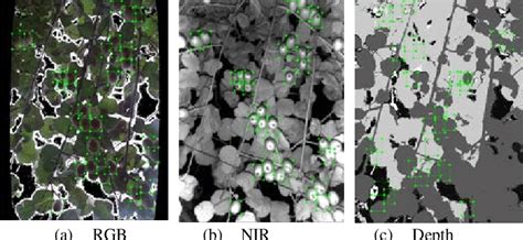 Sample Of Multi Modality Images Extracted From Training Dataset And Download Scientific Diagram
