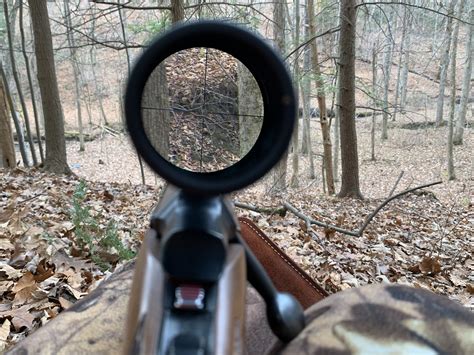 Hunting Scope Rifle Free Photo On Pixabay Pixabay