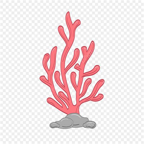 Coral Clip Art Coral Reef Cartoon Clipart Clip Art Library
