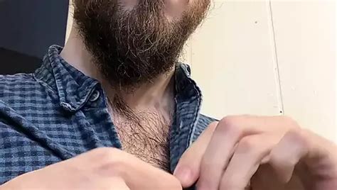 A Candid Tour Of My Very Hairy Chest And Armpits Xhamster