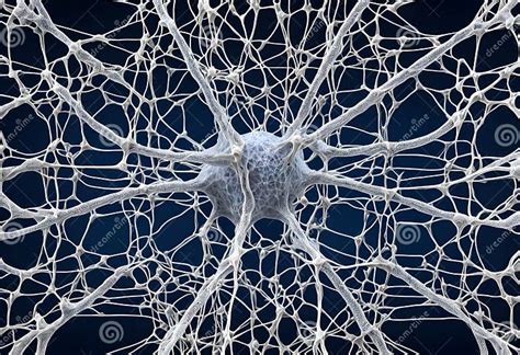 A Close-up View of a Brain, Showcasing Its Intricate Neuron Structure. Stock Illustration ...