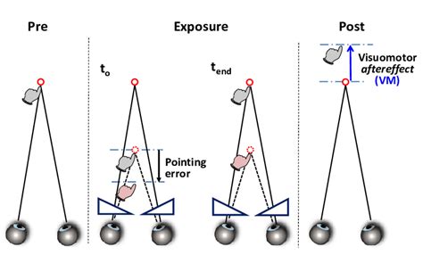 The Adaptation Procedure Download Scientific Diagram