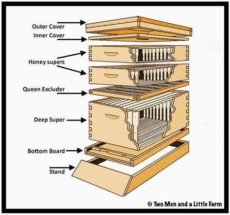 Two Men And A Little Farm Parts Of A Beehive And Wax Foundation