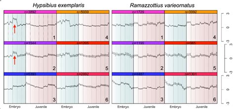 Som Clustering Of Gene Expression Profiles During Development Som Download Scientific Diagram