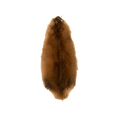 Collections Dakotaline Furs