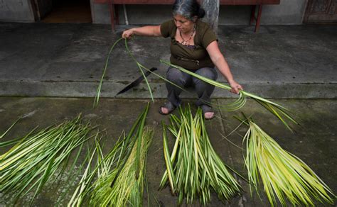Artesanías De Colombia