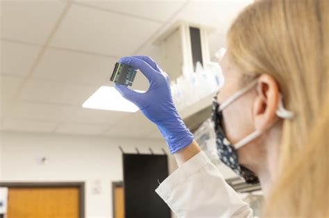 Metagenomics Based Pathogen Identification Center For Animal And