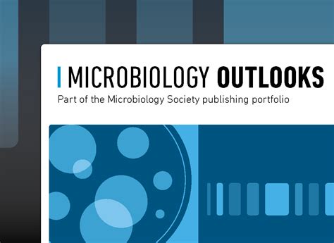 Microbe Profile The Lactobacillaceae Microbiology Society