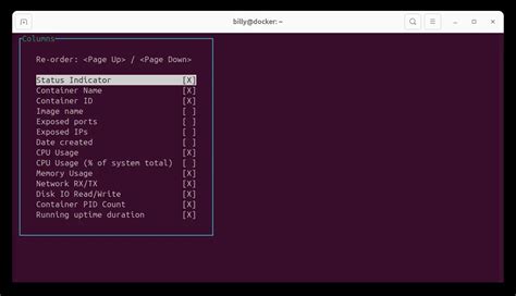 Installing Ctop To Monitor Docker Containers Billy Dickson