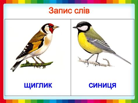 Інтерактивна презентація до ур навч грамоти 1 кл Закріплення уміння писати літери з похилою