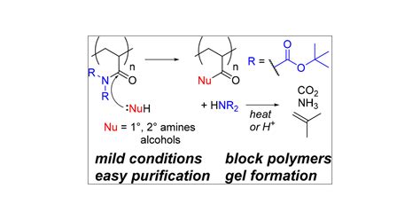 Activated Polyacrylamides As Versatile Substrates For Postpolymerization Modification Acs