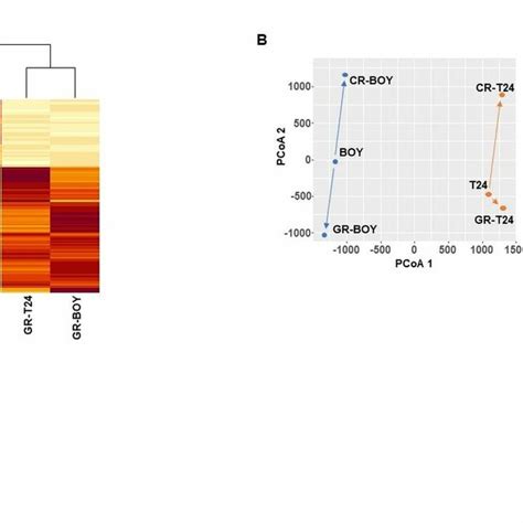RNAseq Analyses Of Drug Resistant Cells A Cluster Analysis Of A Download Scientific Diagram