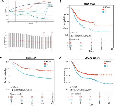 Construction Of Caner Functional States Associated Prognostic Model A