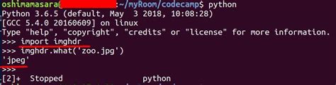 Python入門Pythonで画像処理をしてみよう CodeCampus