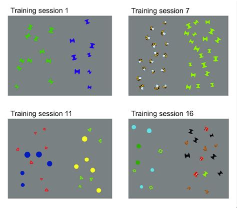 sample stimuli from four representative visual approximate number
