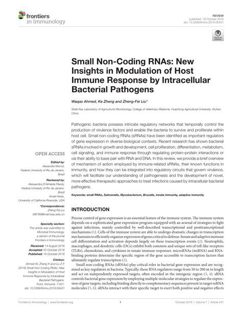 Pdf Small Non Coding Rnas New Insights In Modulation Of Host Immune