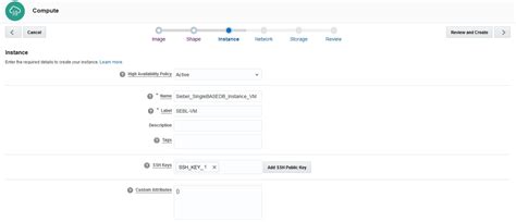 Deploying Siebel Base Database To A Single Instance Vm Using Oracle
