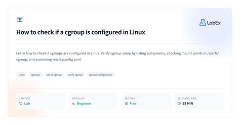 How To Check If A Cgroup Is Configured In Linux Labex