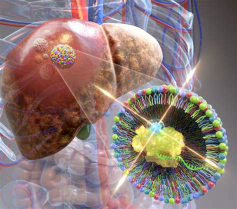 방사성동위원소로 크리스퍼 유전자 가위 위치 추적